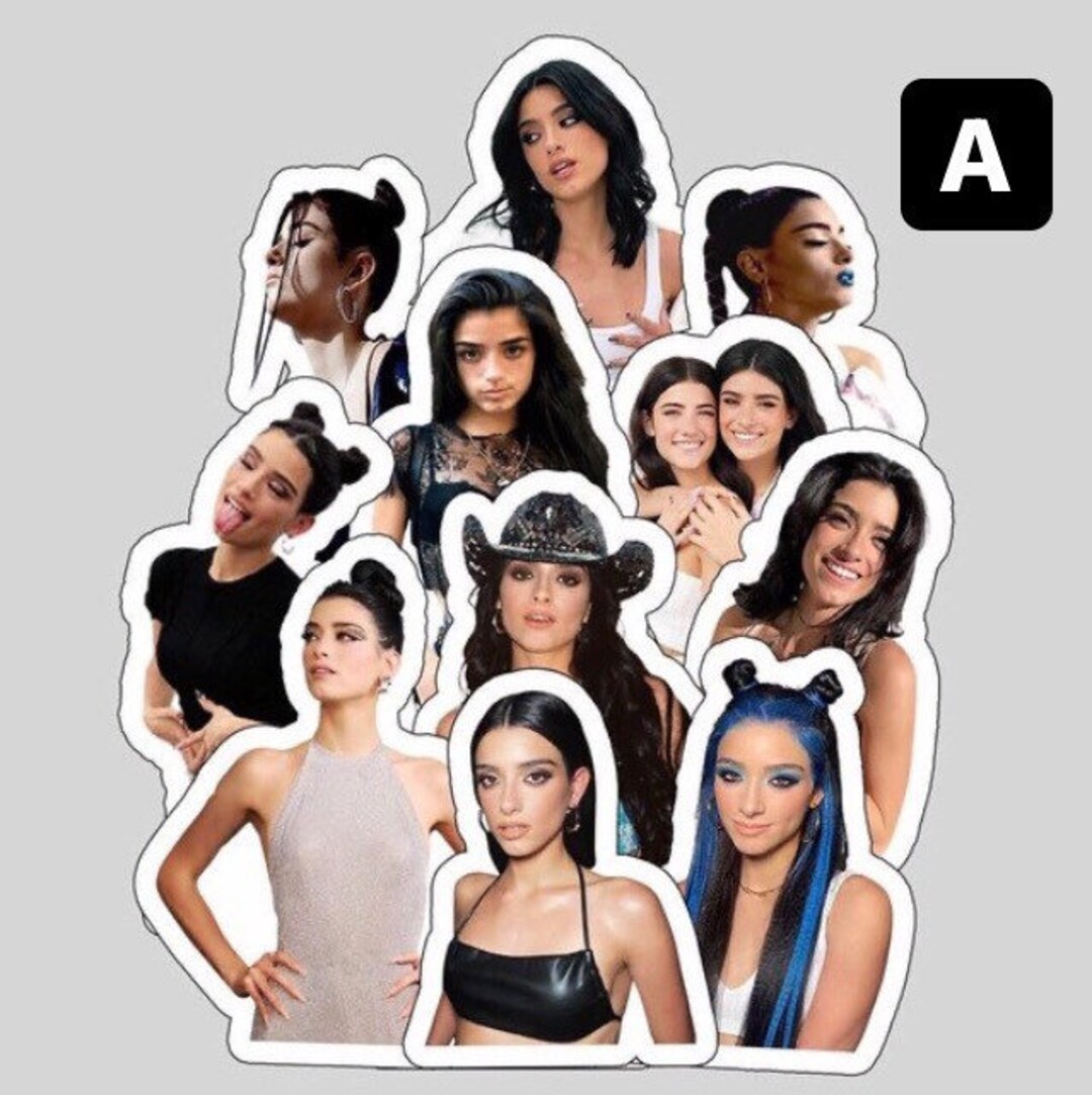New 2022 Dixie Damelio Tiktok Glossy Sticker Pack - 11 Dixie D'amelio ...