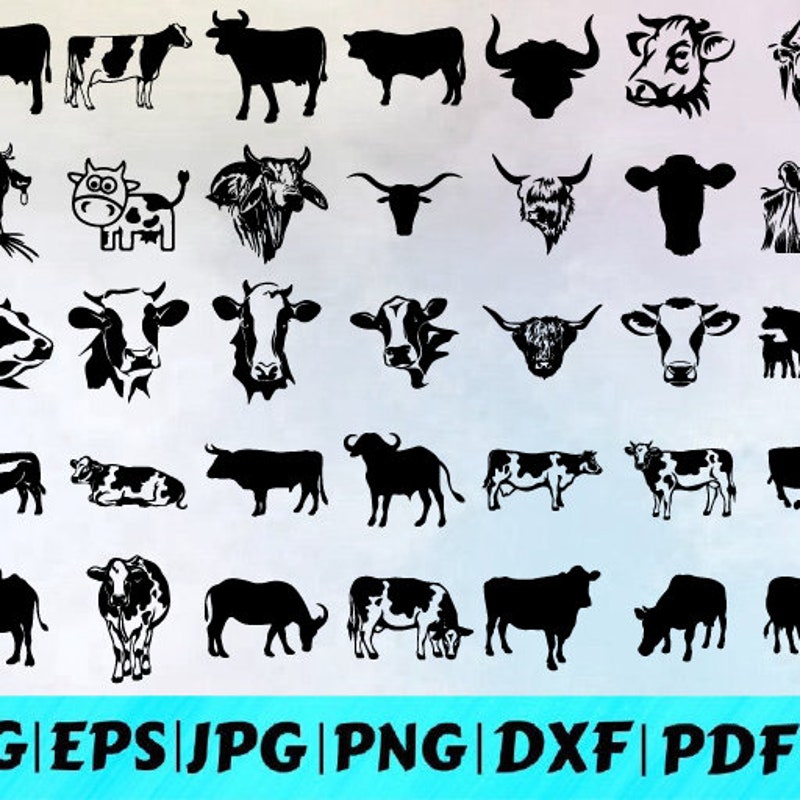 Cow Svg - Etsy