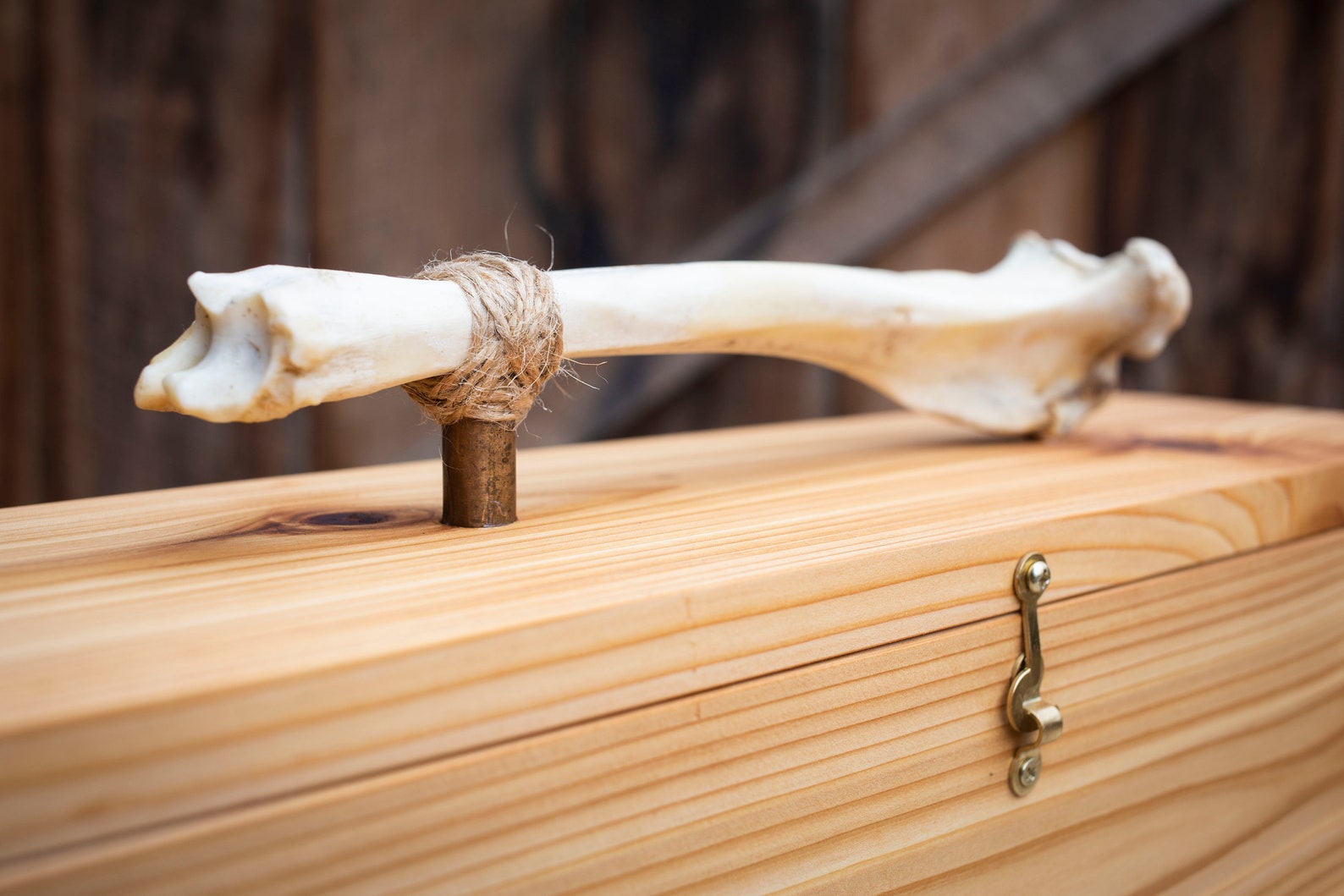 Western Red Cedar Wood Ceremony Feather Box W/ Deer Bone | Etsy