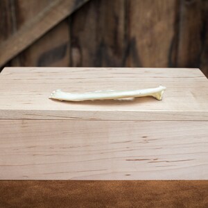 Maple Keepsake Box W/ Coyote Jaw Handle & Twine Wrapped Mitered Corners ...