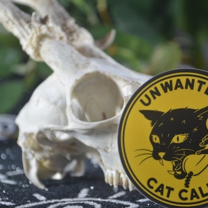 Unwanted Cat Calls Sticker - Etsy