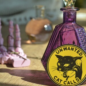 Unwanted Cat Calls Sticker - Etsy