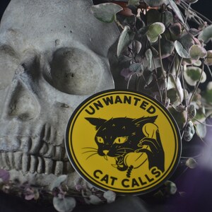 Unwanted Cat Calls Sticker - Etsy