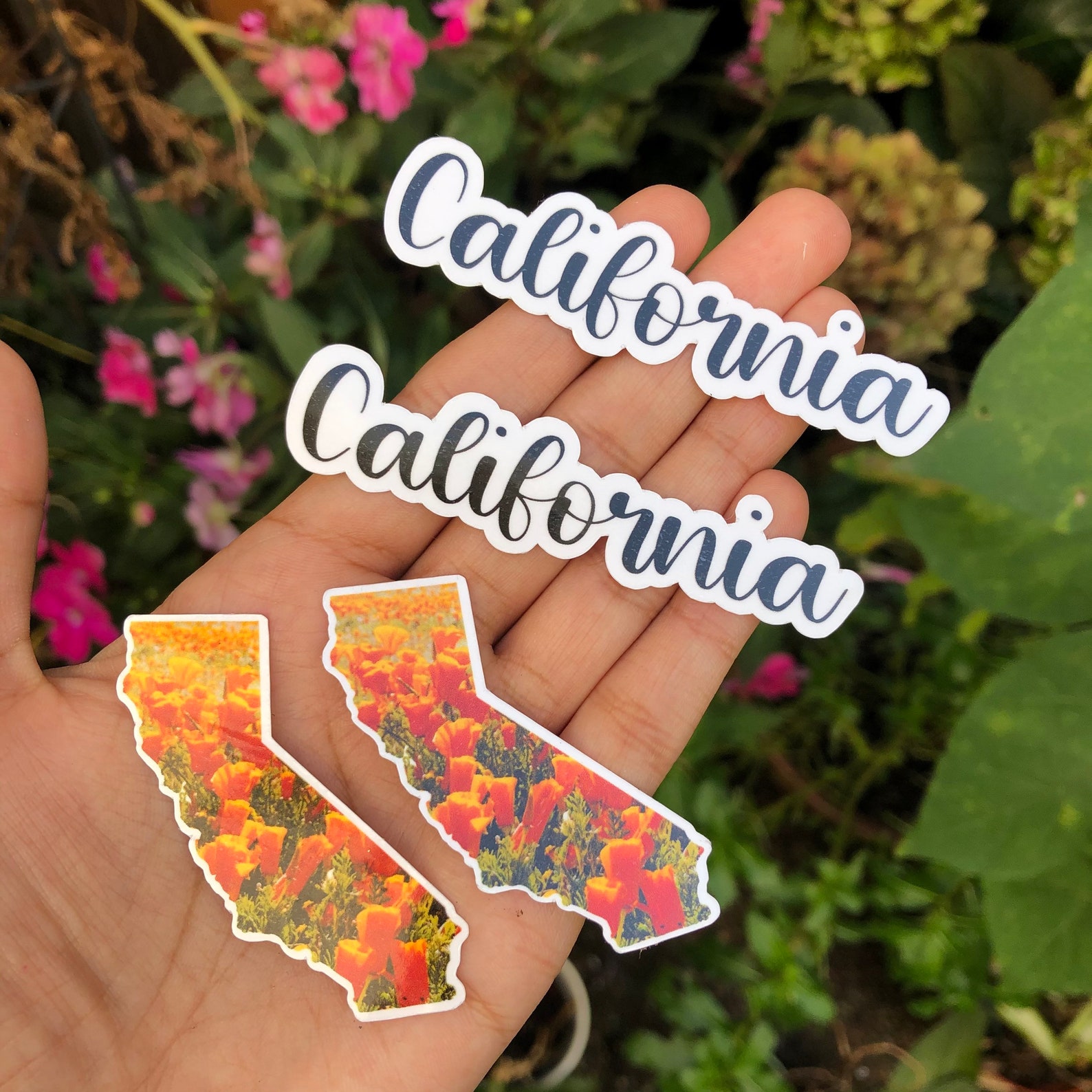 Cute California Stickers California Gifts Cute Stickers for | Etsy