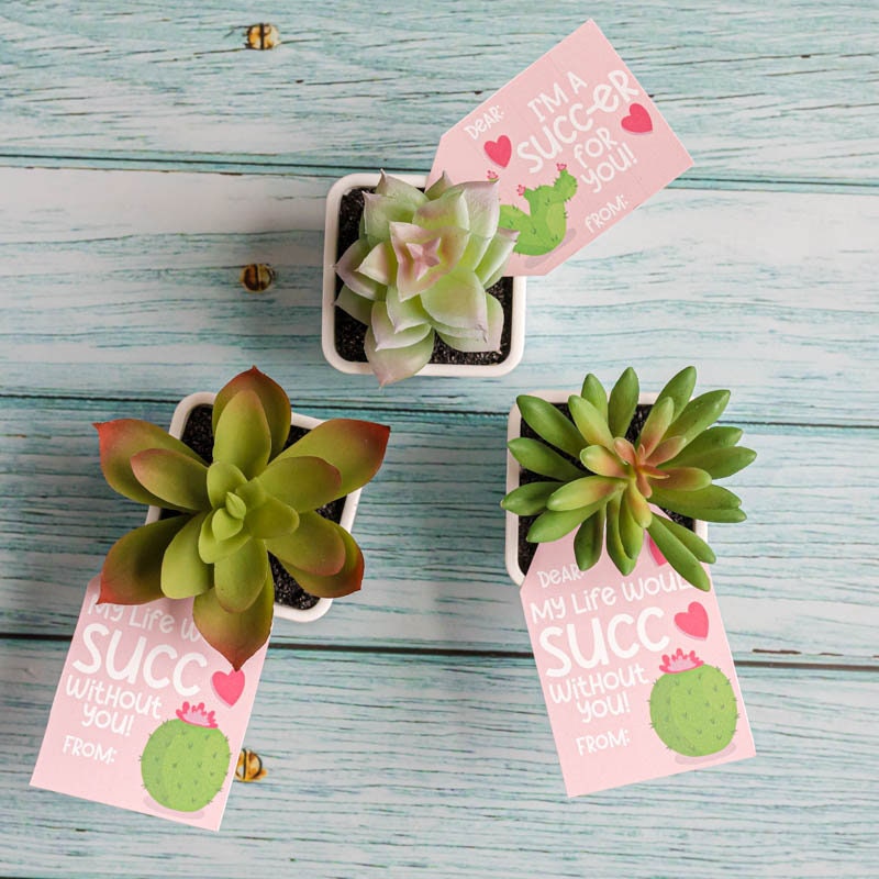 Succulent Gift Tag - 60+ Gift Ideas for 2024