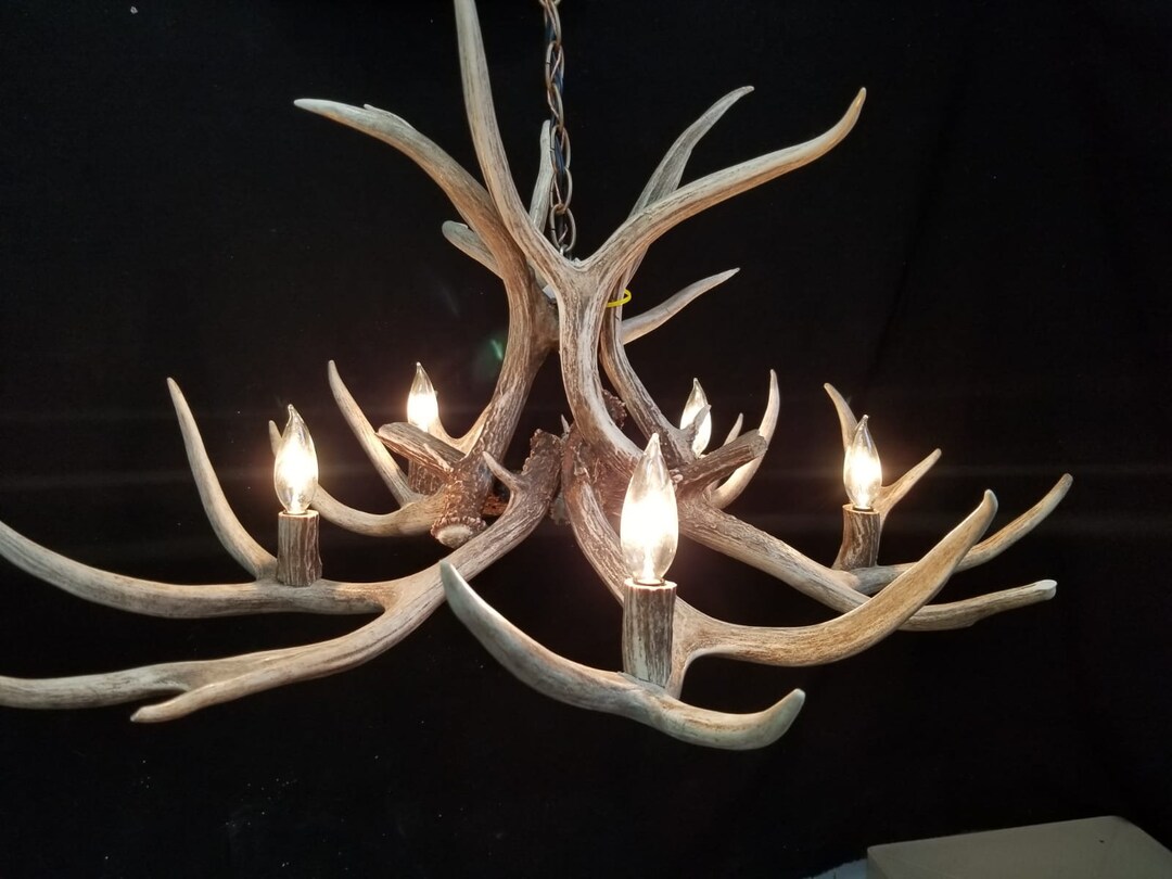Small Real Antler Chandelier - Etsy Canada