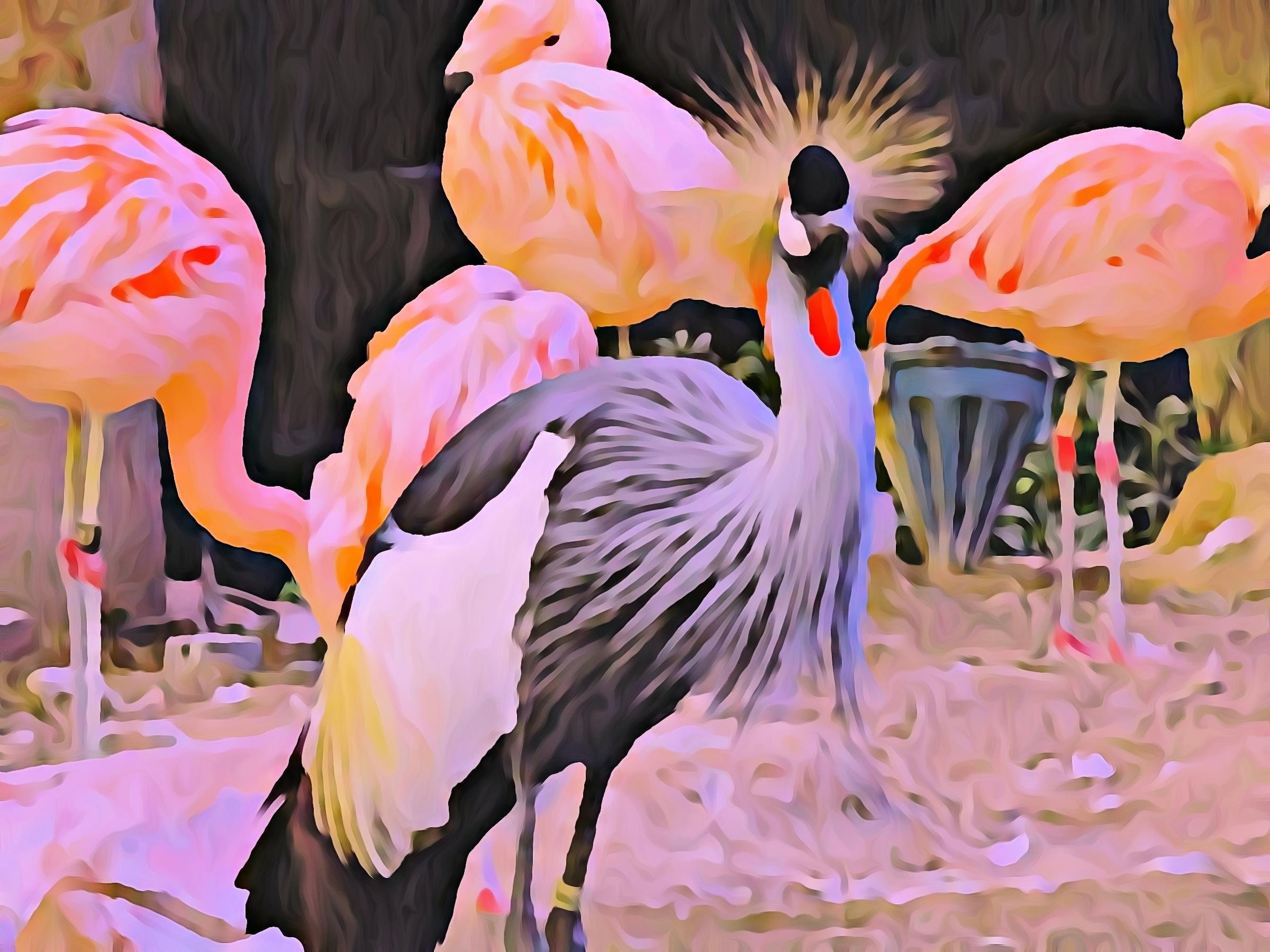 Art Collectible, Prints, Digital Printing, Art, Photography, Mixed ...