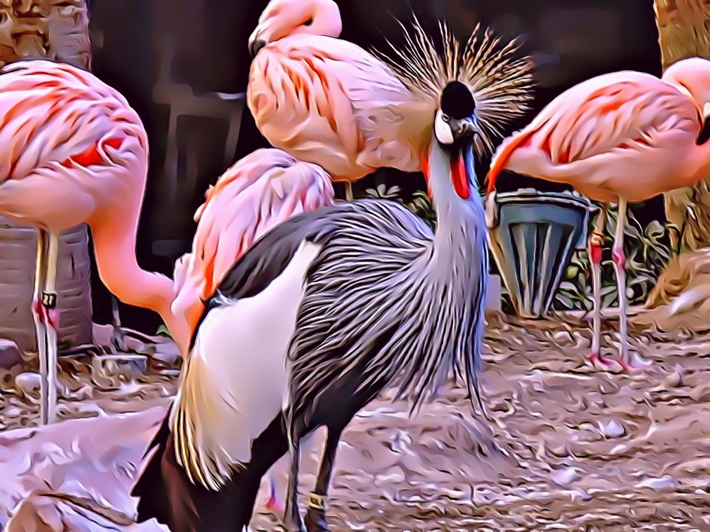 Art Collectible, Prints, Digital Printing, Art, Photography, Mixed ...