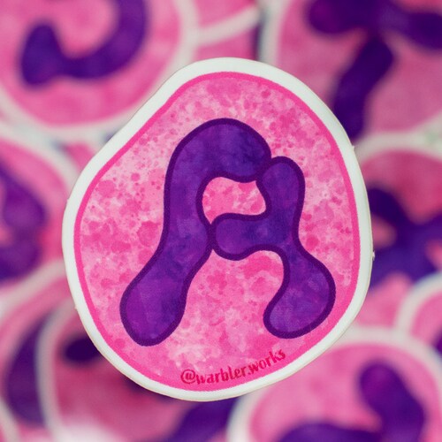 MLS Neutrophil Alphabet Sticker // Vinyl Sticker // Laboratory | Etsy