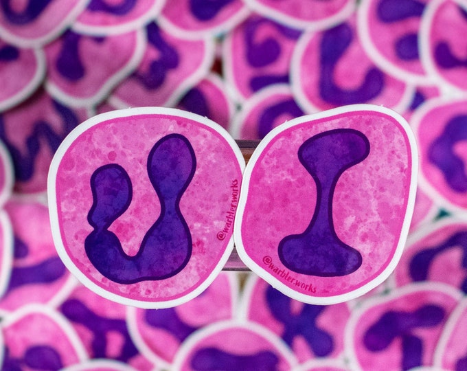 Two Neutrophil Alphabet Stickers Set // Vinyl Sticker // - Etsy