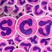 Three Neutrophil Alphabet Stickers Set // Vinyl Sticker // Laboratory ...