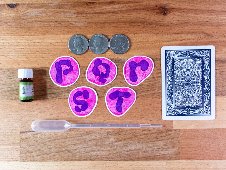 Two Neutrophil Alphabet Stickers Set // Vinyl Sticker // Laboratory ...
