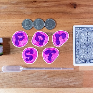 Three Neutrophil Alphabet Stickers Set // Vinyl Sticker // Laboratory ...