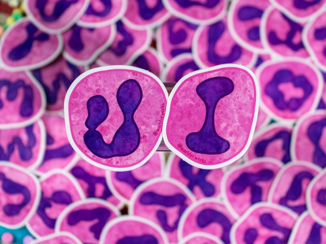 Two Neutrophil Alphabet Stickers Set // Vinyl Sticker // Laboratory ...