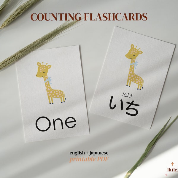 Japanese Flash Cards - Etsy