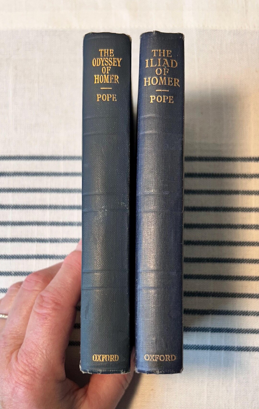 Vintage 1920s Homer's the Iliad and the Odyssey Pope Translated ...