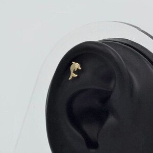 14K Solid Gold Dolphin Helix Piercing, Minimalist Animal Gold Tragus ...