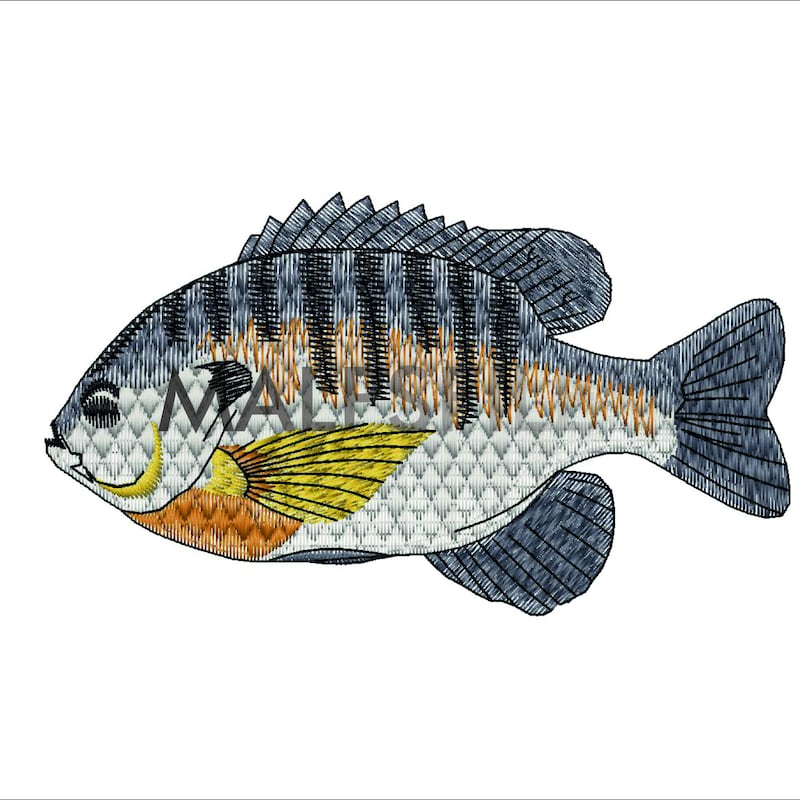 Fish Embroidery - Etsy