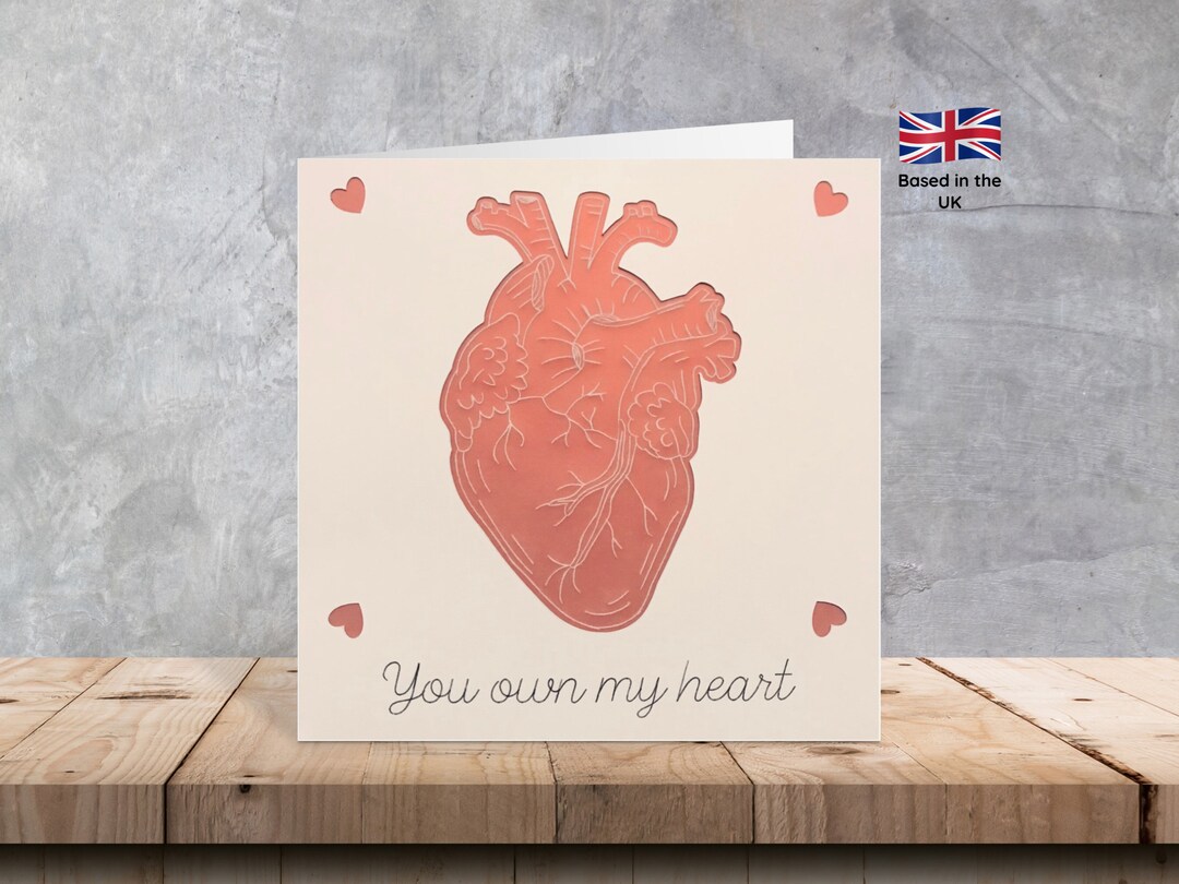 Handmade You Own My Heart Anatomical Heart Valentines/anniversary ...