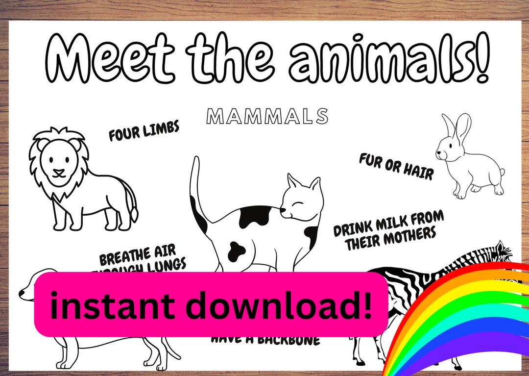 Meet the Animals Colouring Sheet Instant Download 6 Sheets, Educational ...