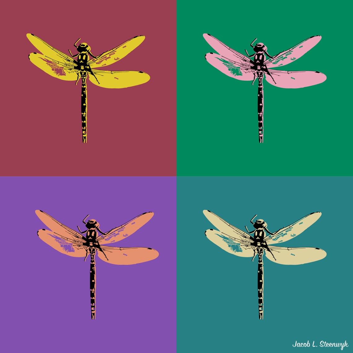 Dragonfly Poster - Etsy