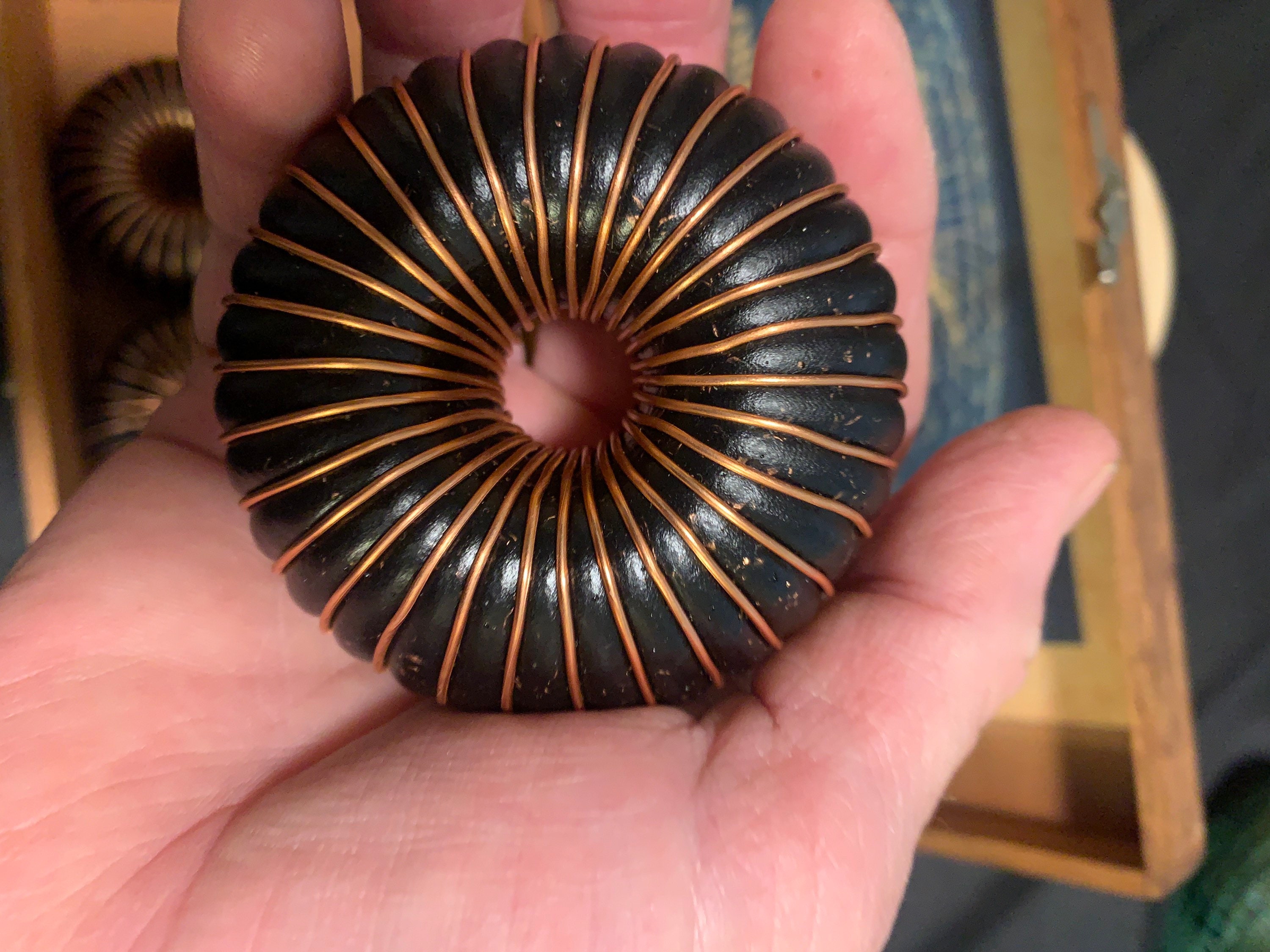 Orgonite Torus Human BIOFIELD Tuner - Etsy