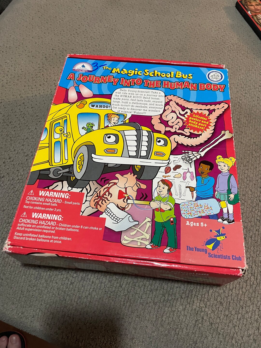 Magic School Bus Human Body Kit - Etsy