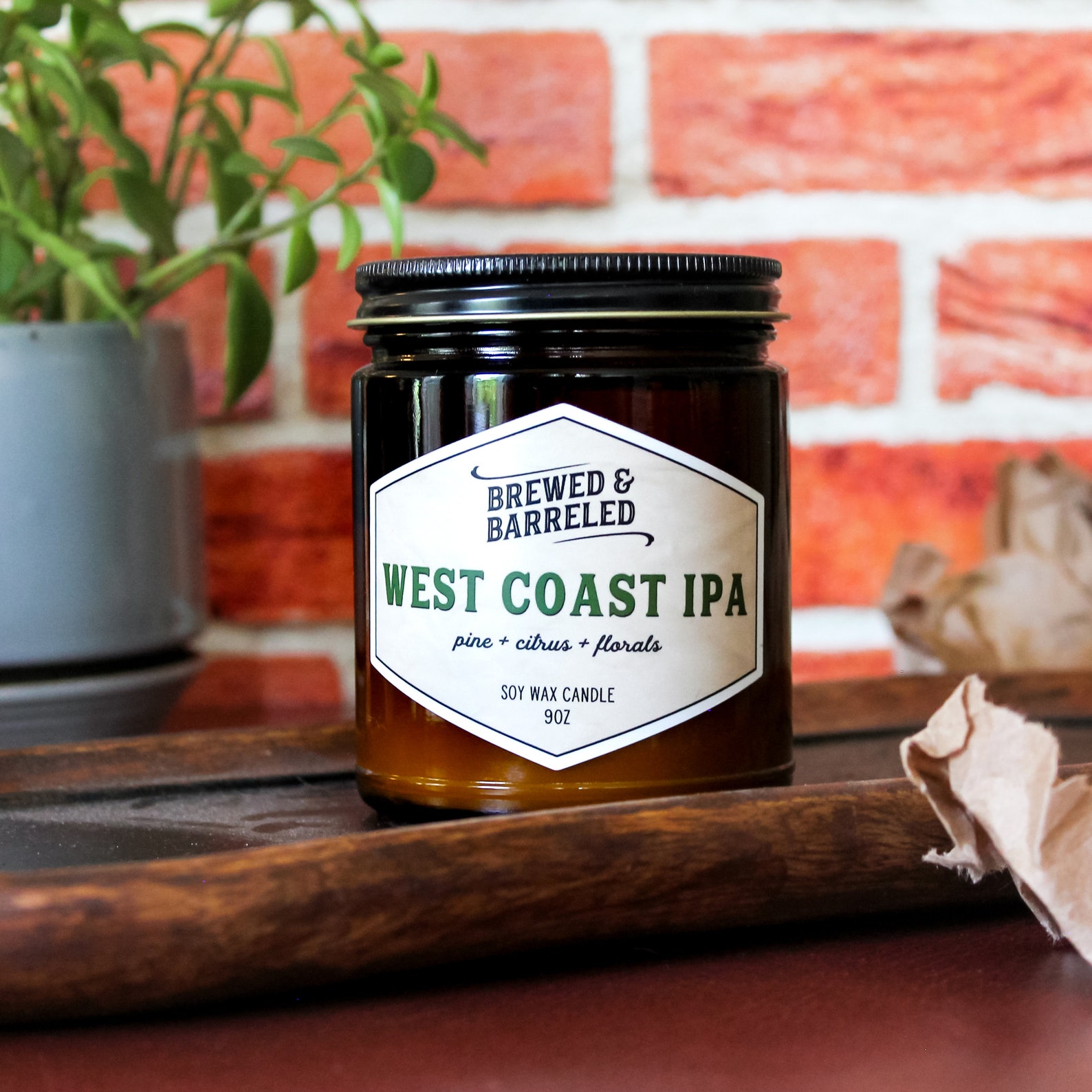 West Coast IPA | Beer-themed Soy Wax Candle | 9oz Jar - Etsy