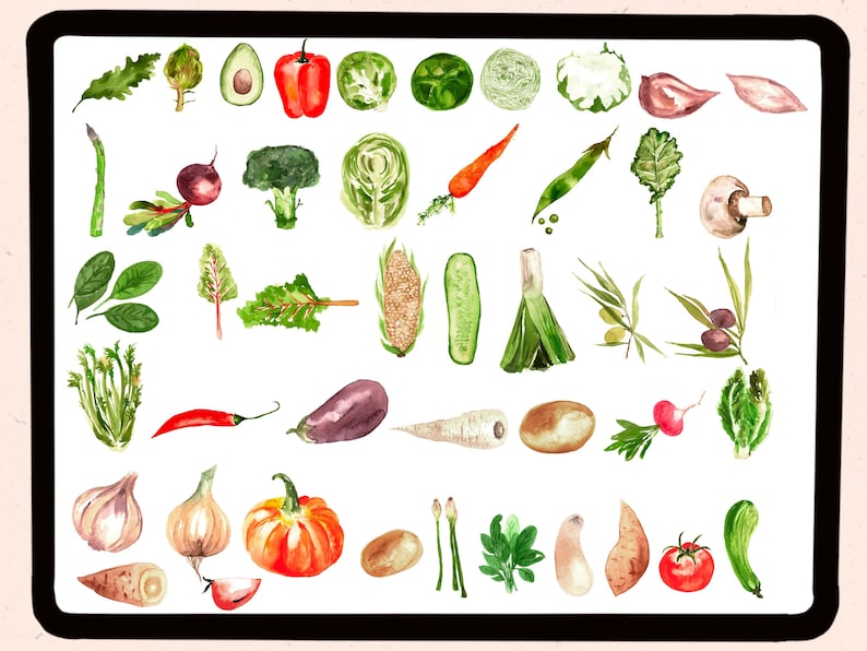 Food Digital Stickers| Goodnotes Stickers| Fruits Stickers| Veggies ...