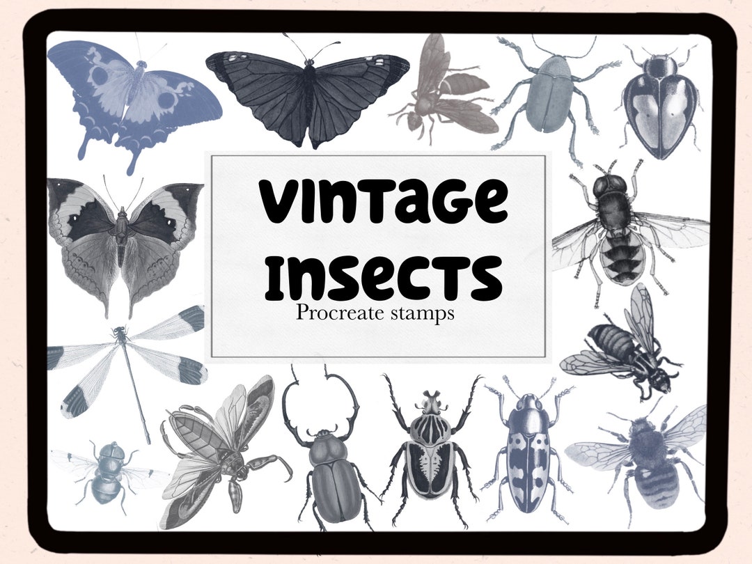 Vintage Insects Procreate Stamps| Insect Stamps| Procreate Stamps ...