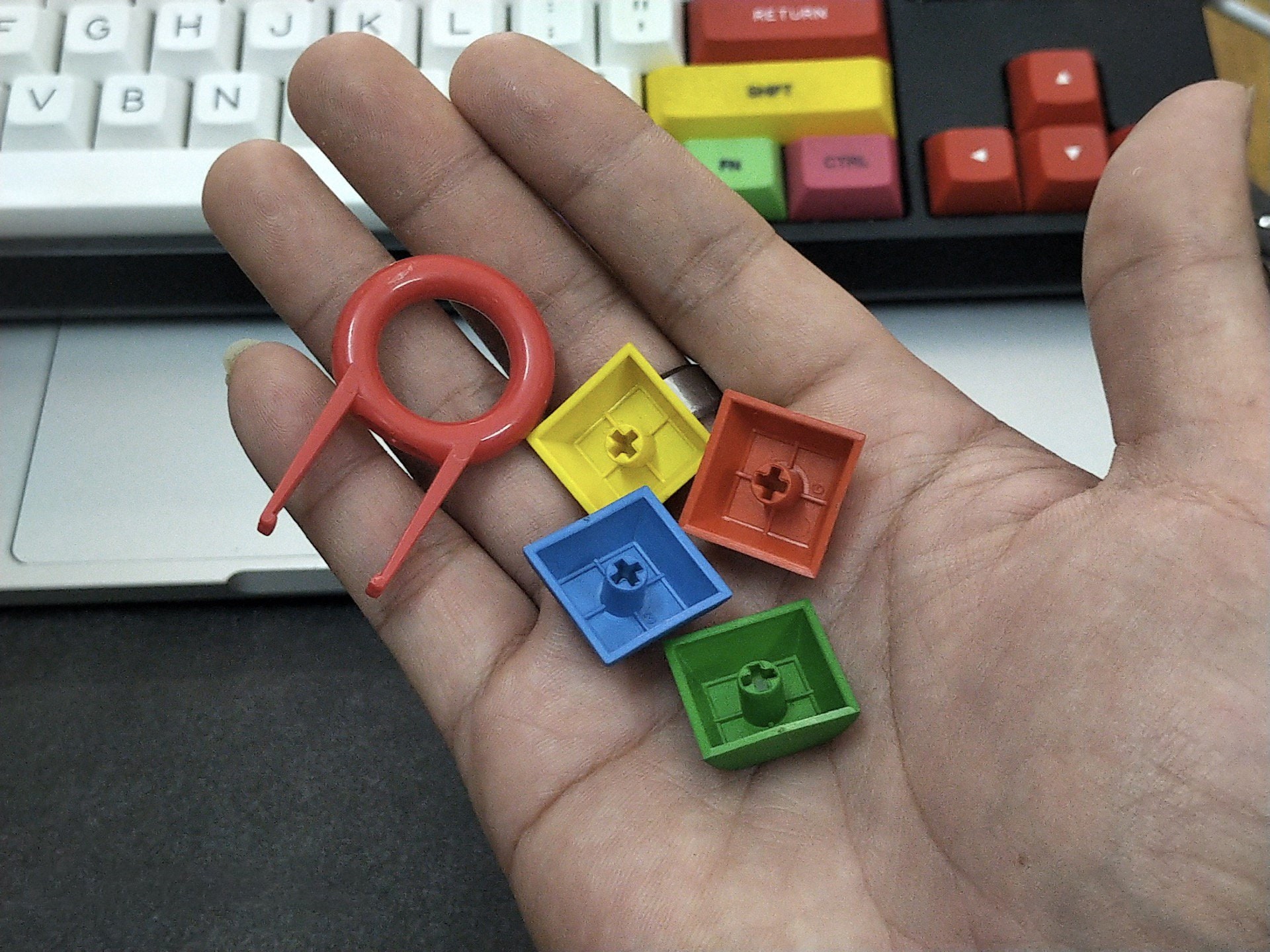 Dsa Profile PBT Rgby ESC WASD Direction Arrow Key Cap - Etsy UK