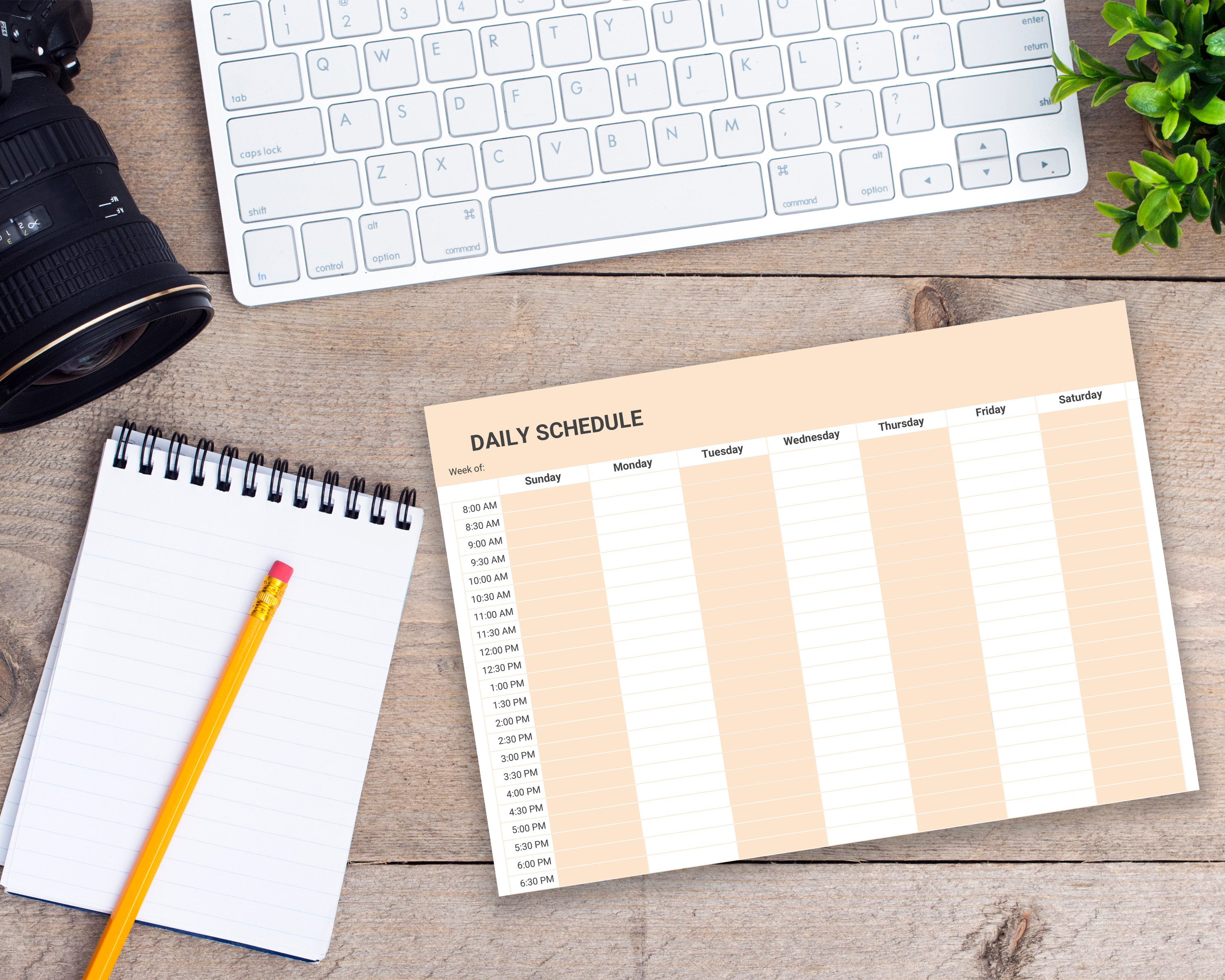 Daily Schedule, Weekly Schedule, Instant Download - Etsy