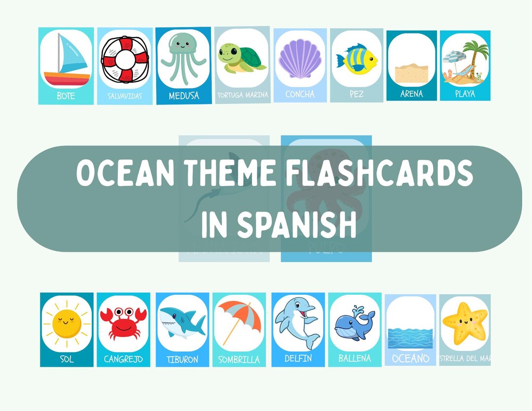 Ocean Theme Flashcards Spanish - Etsy