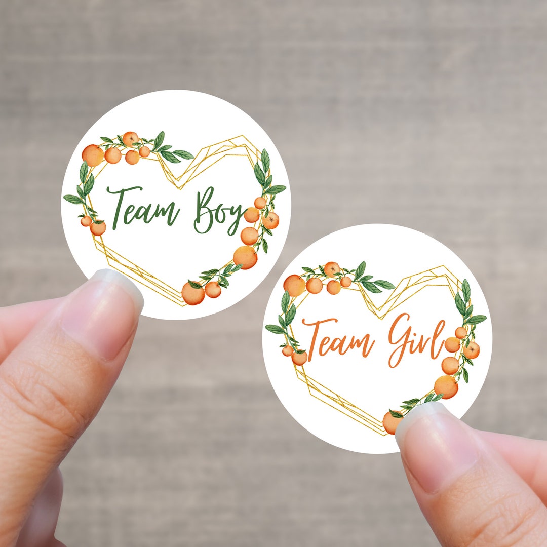 Sticker Sheet - Gender Reveal Baby Shower Party Stickers - Team Boy ...