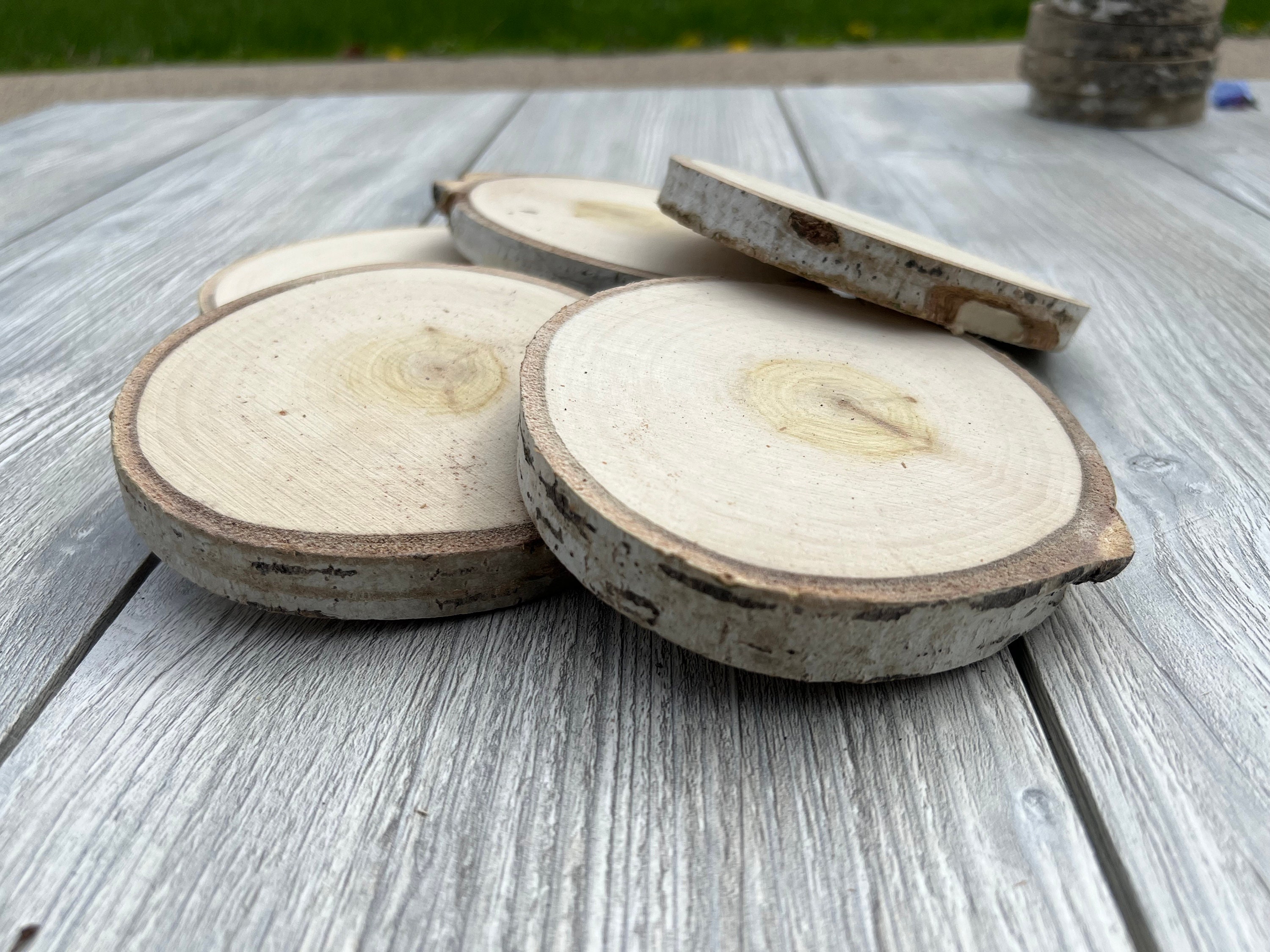Set of 20 Wood Slabs | Wood Slices | Rustic Wedding Decor | Light Wood ...