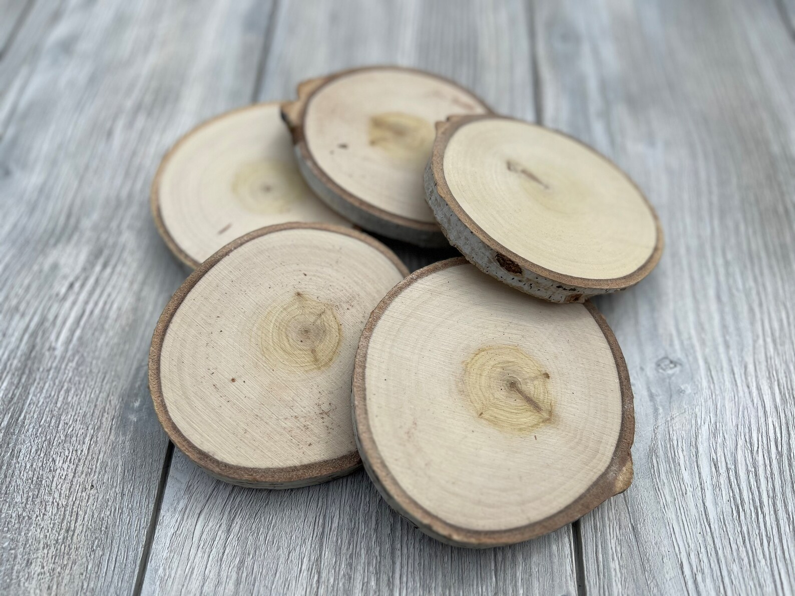 Set of 20 Wood Slabs | Wood Slices | Rustic Wedding Decor | Light Wood ...