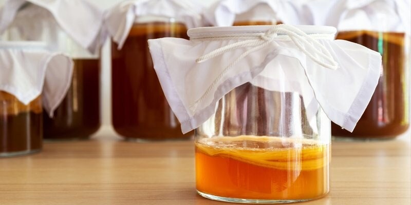 Large Healthy Organic Kombucha Scoby + Starter Tea Kit - Etsy