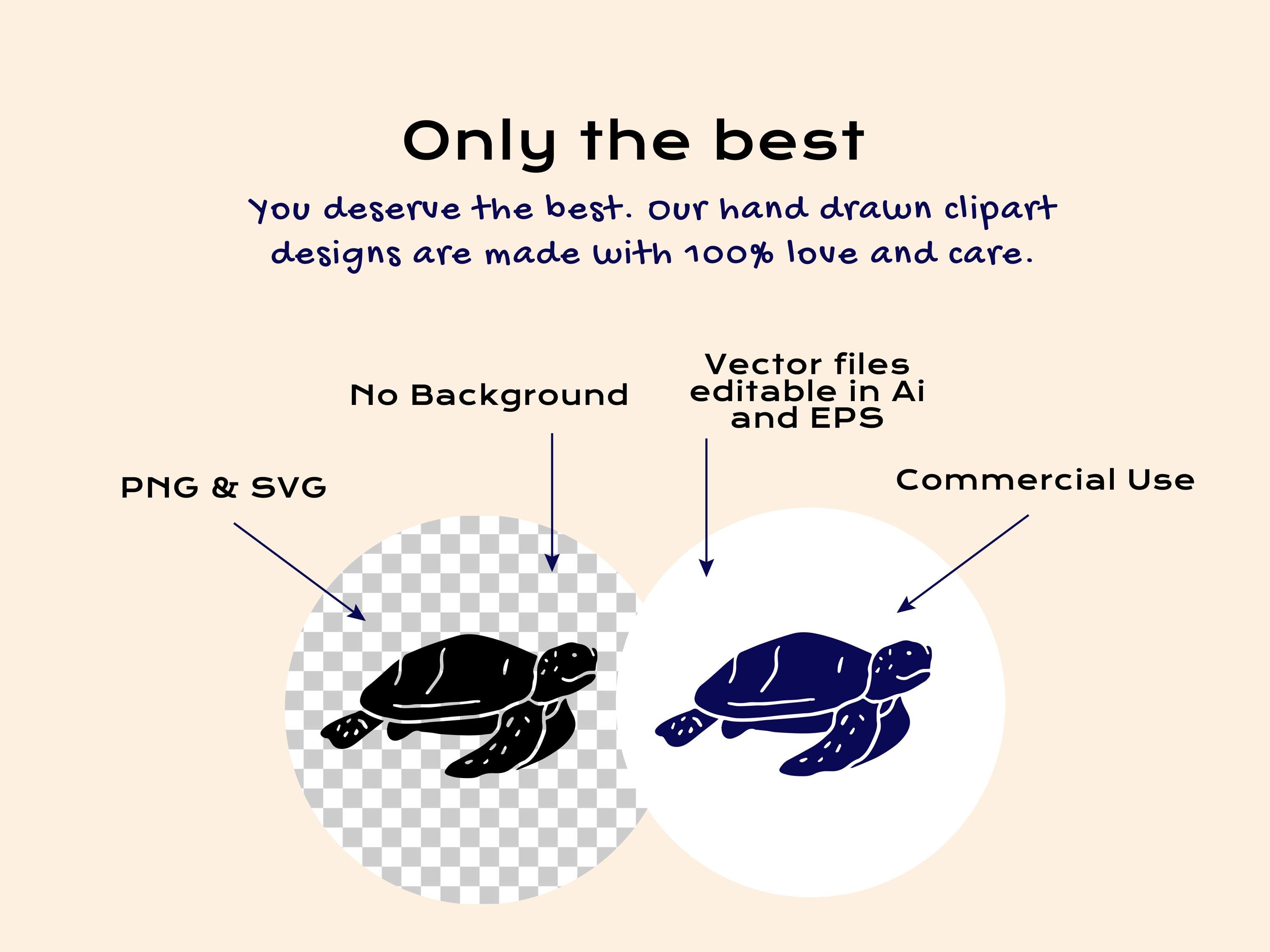 Ocean Animals Clipart Bundle, Handrawn Sea Creature SVG Files, PNG ...