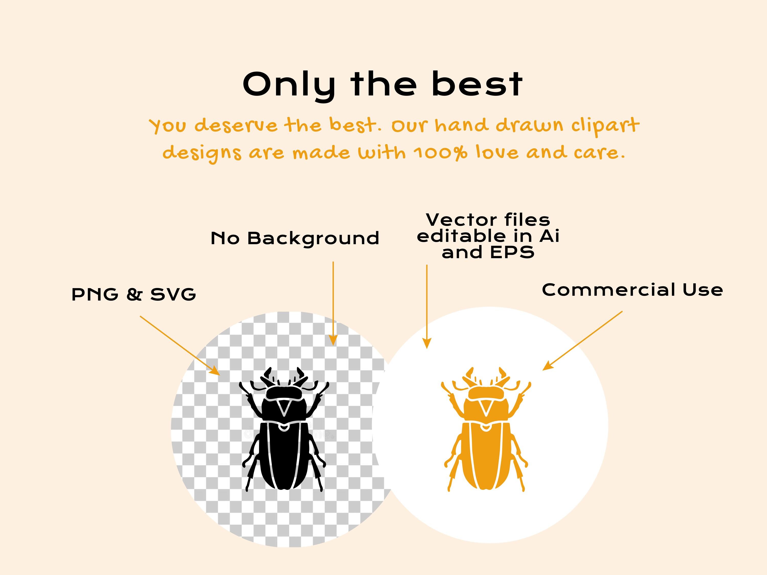 Insects Linocut Clipart, Beetle Handrawn Vectors, PNG Bugs and Insects ...