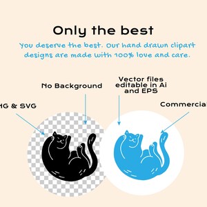 Cute Cats Clipart Bundle, Vector Kittens, Handrawn Cat PNG and SVG ...