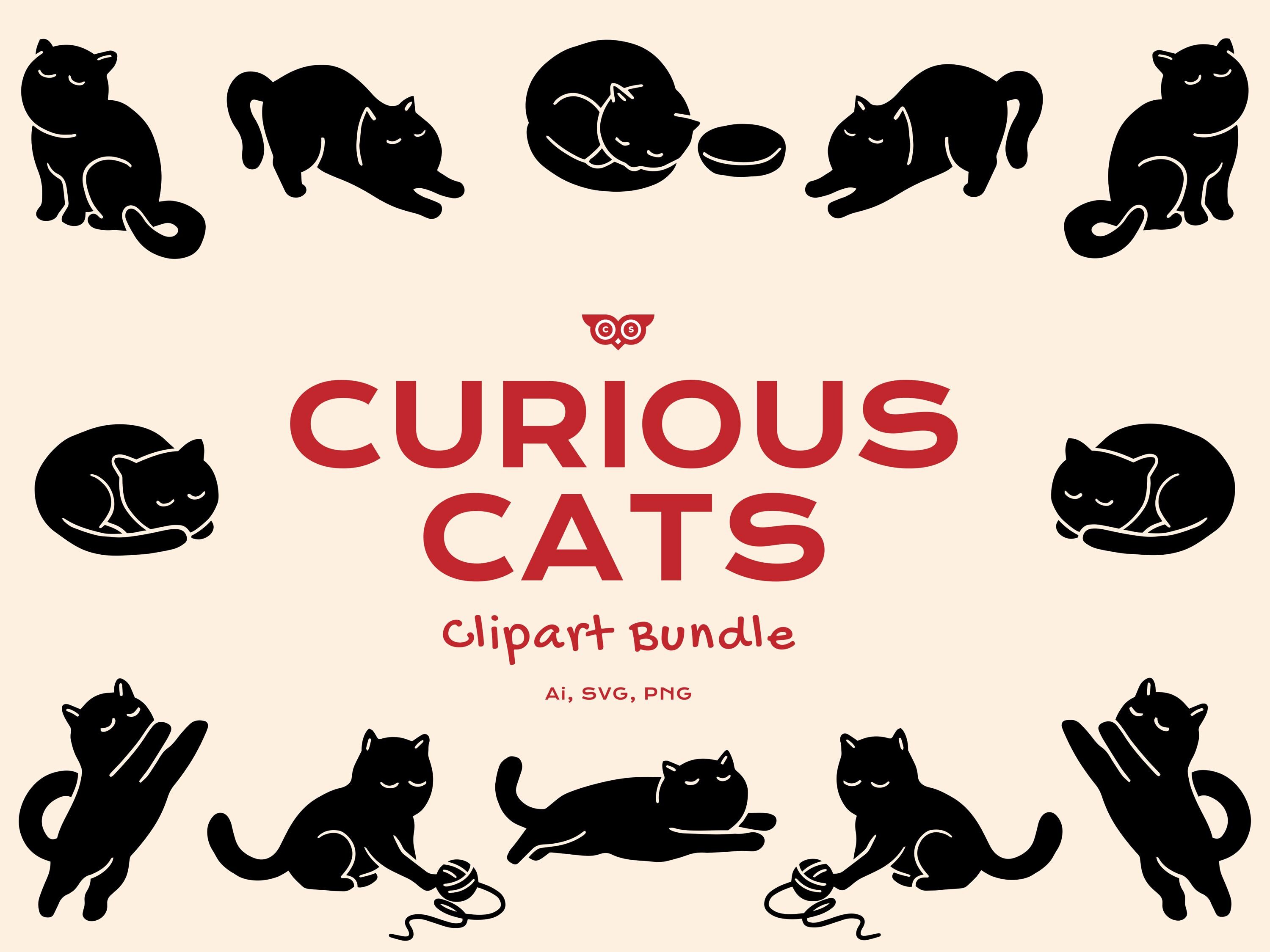Curious Cats Clipart Bundle, Vector Kittens, Handrawn Cat PNG and SVG ...