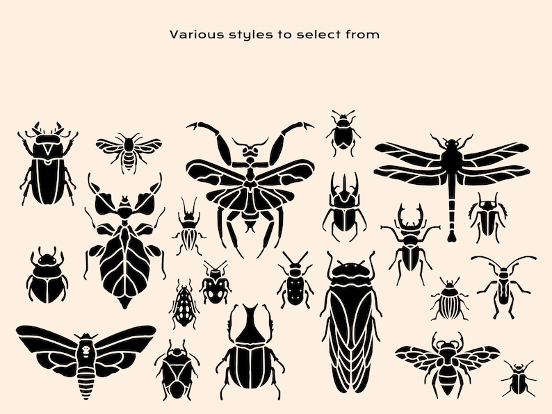 Insects Linocut Clipart, Beetle Handrawn Vectors, PNG Bugs and Insects ...