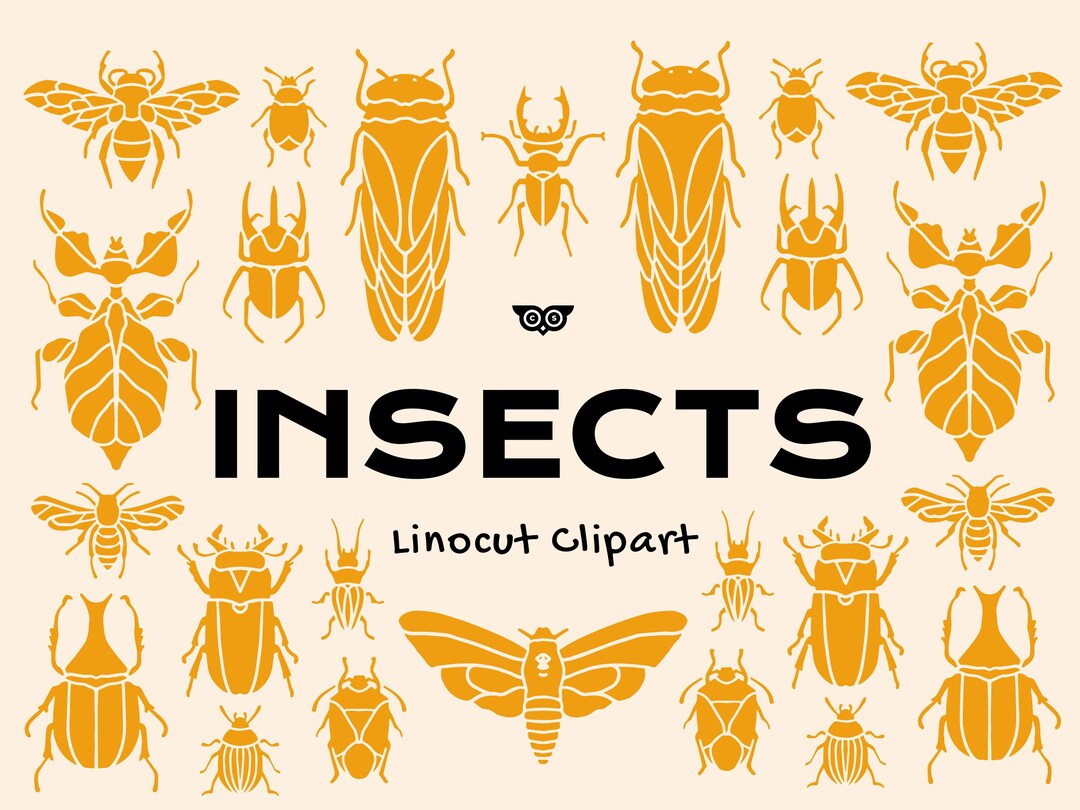 Insects Linocut Clipart, Beetle Handrawn Vectors, PNG Bugs and Insects ...