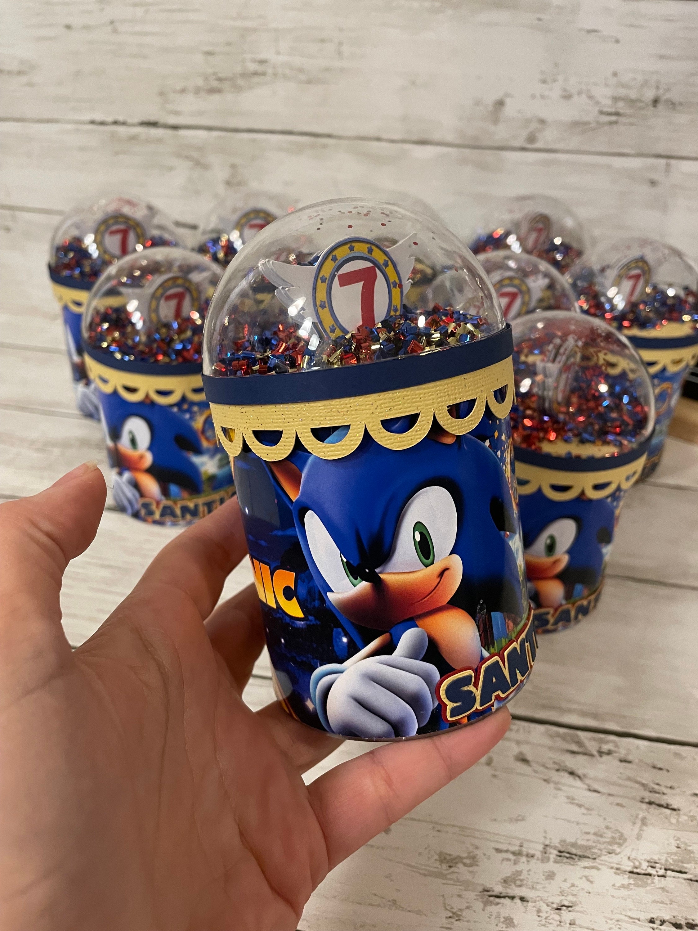 Pringles Shaker Sonic - Etsy