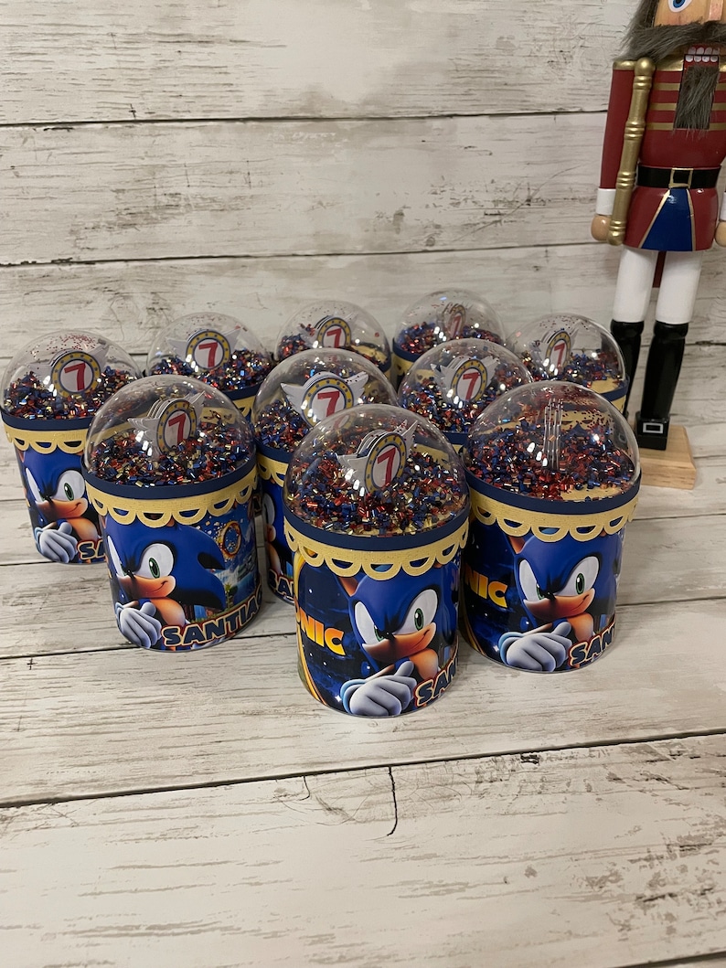 Pringles Shaker Sonic - Etsy