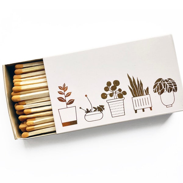 Candle Plant Match - Etsy