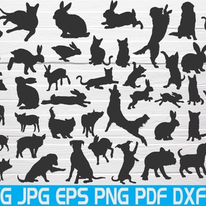 Pet Animals Svg Cut Files Pet Svg Bundle Animals Svg Bundle Svg Files ...