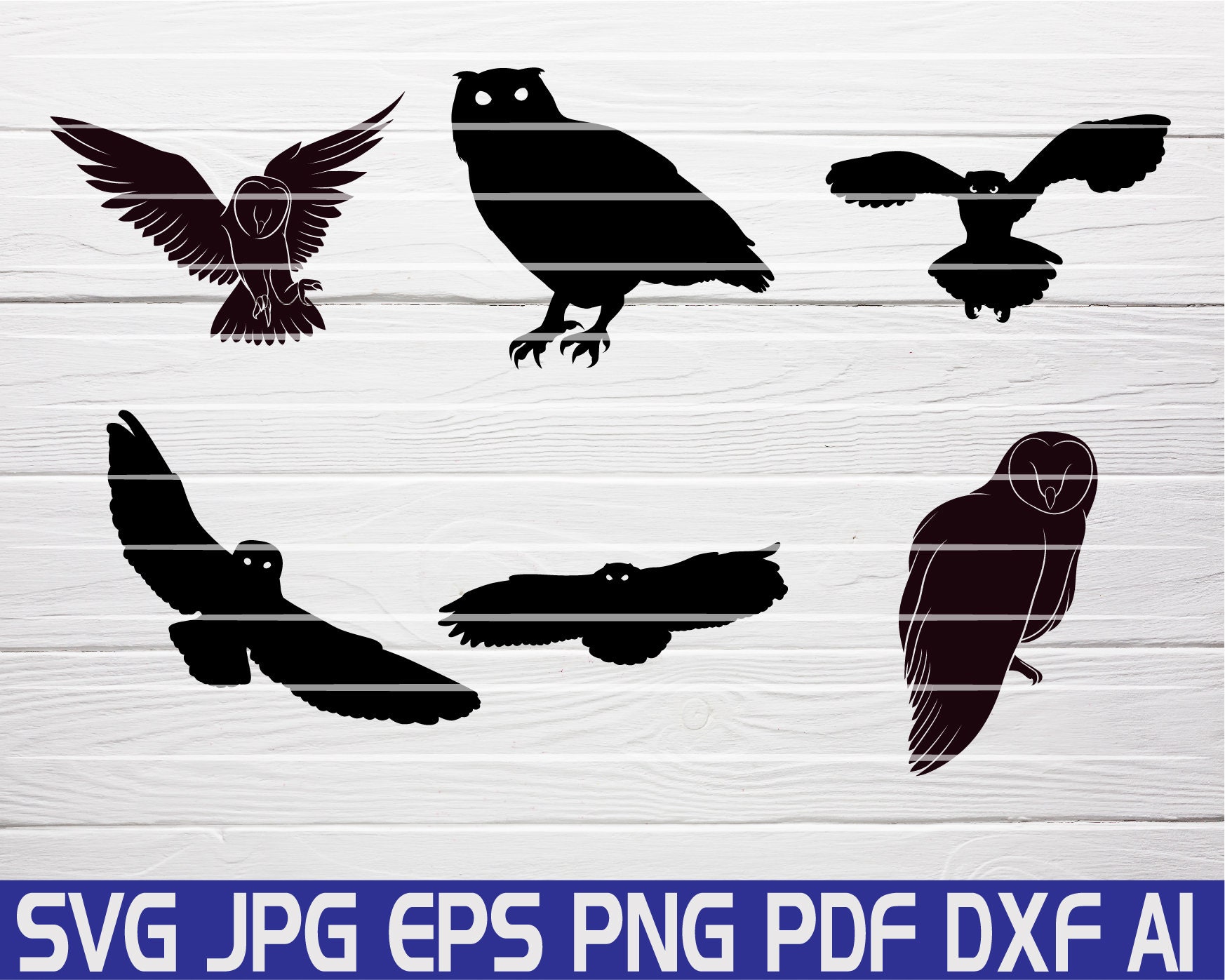 40 Eulen Svg schneiden Dateien Eule Svg Eule Vektor Vogel Svg Eule Png ...