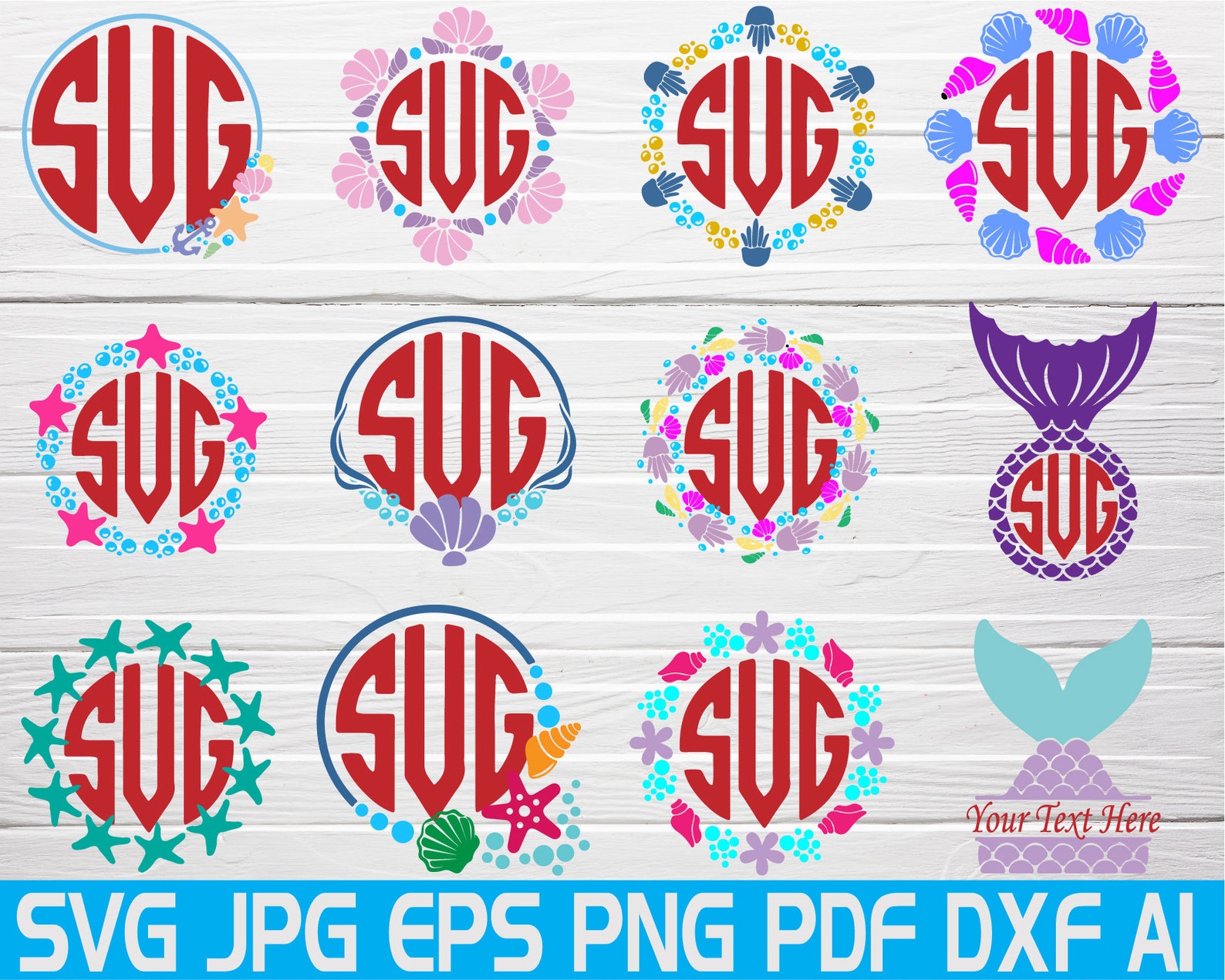 Seashell Monogram Svg Seashell Svg Beach Svg Monogram Svg - Etsy