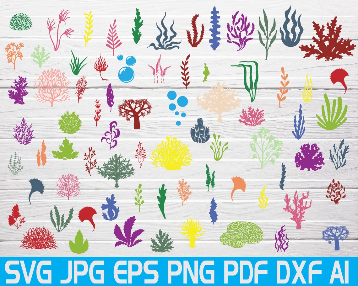 73 Coral Svg Ocean Elements Svg Sea Life Svg Corals Svg Ocean Animals ...